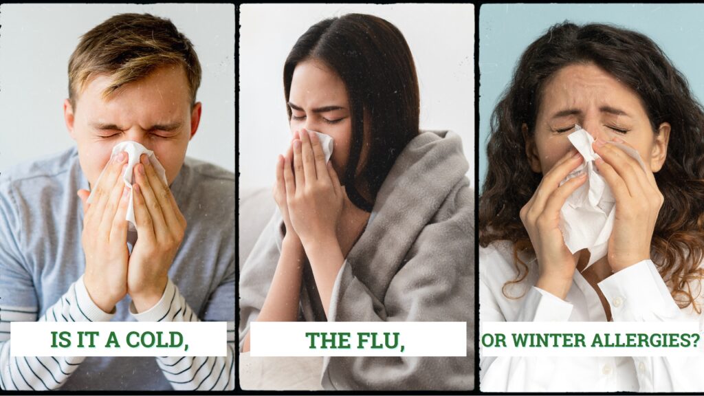 Is It a Cold, the Flu, or Winter Allergies? The Ultimate Guide to ...